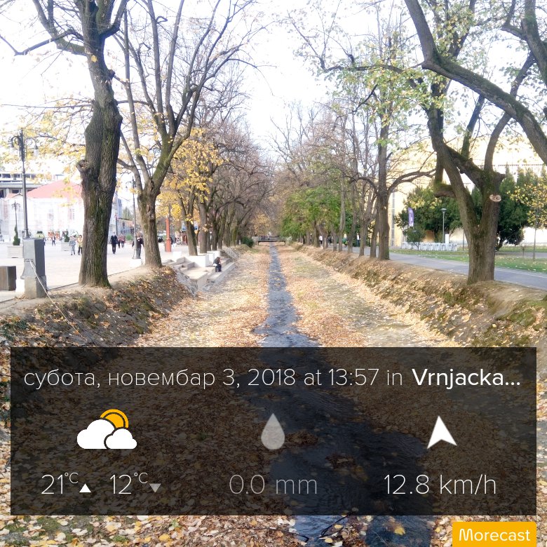 gogy :: Profil :: Morecast