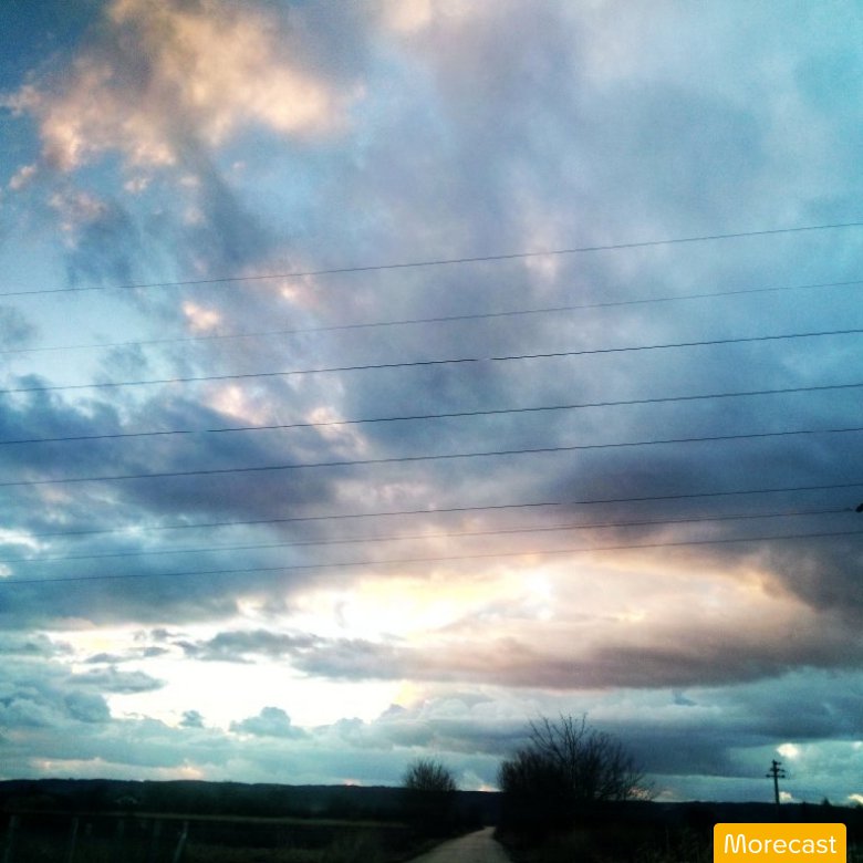 gogy :: Profil :: Morecast